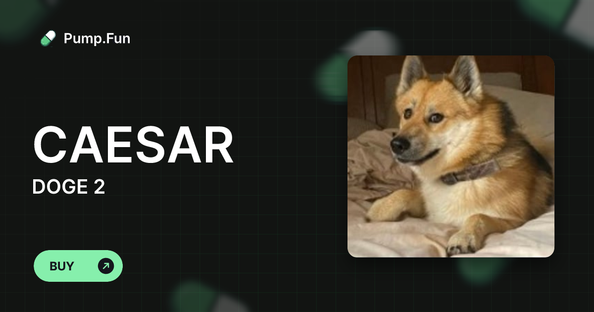 DOGE 2 (CAESAR) - Pump