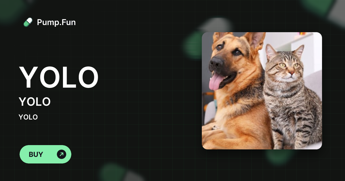 YOLO (YOLO) - Pump
