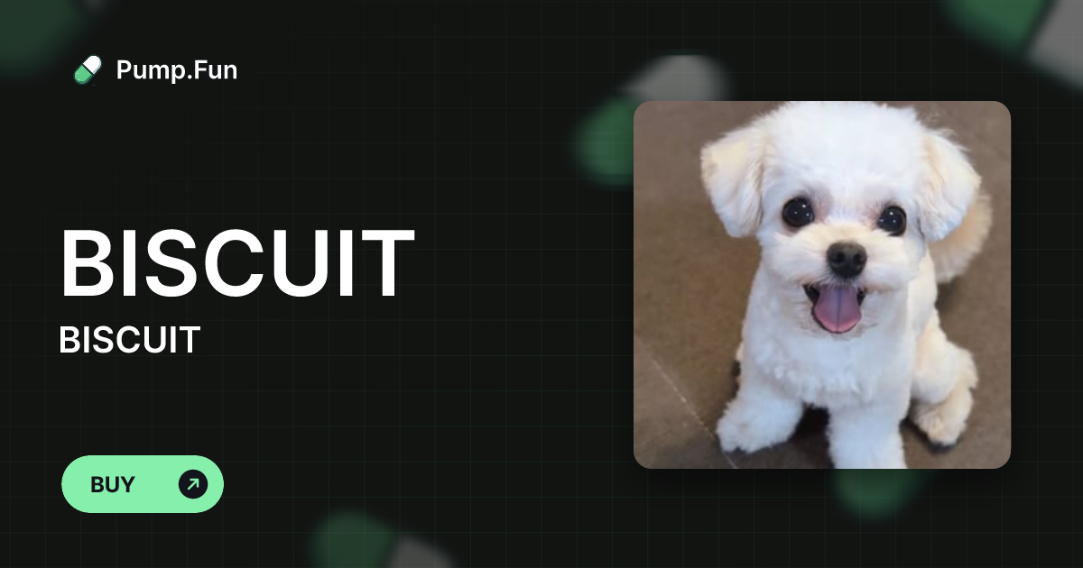 BISCUIT (BISCUIT) - Pump