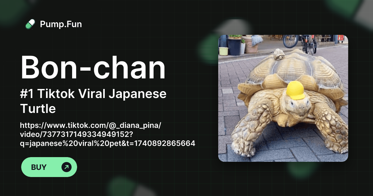 #1 Tiktok Viral Japanese Turtle (Bon-chan) - Pump