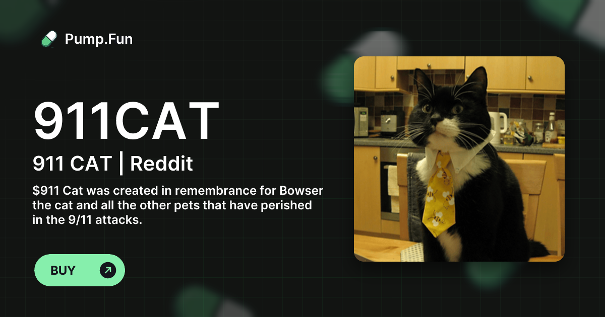 911 CAT | Reddit (911CAT) - Pump