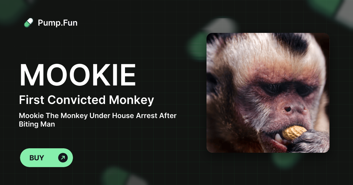 First Convicted Monkey (MOOKIE) - Pump
