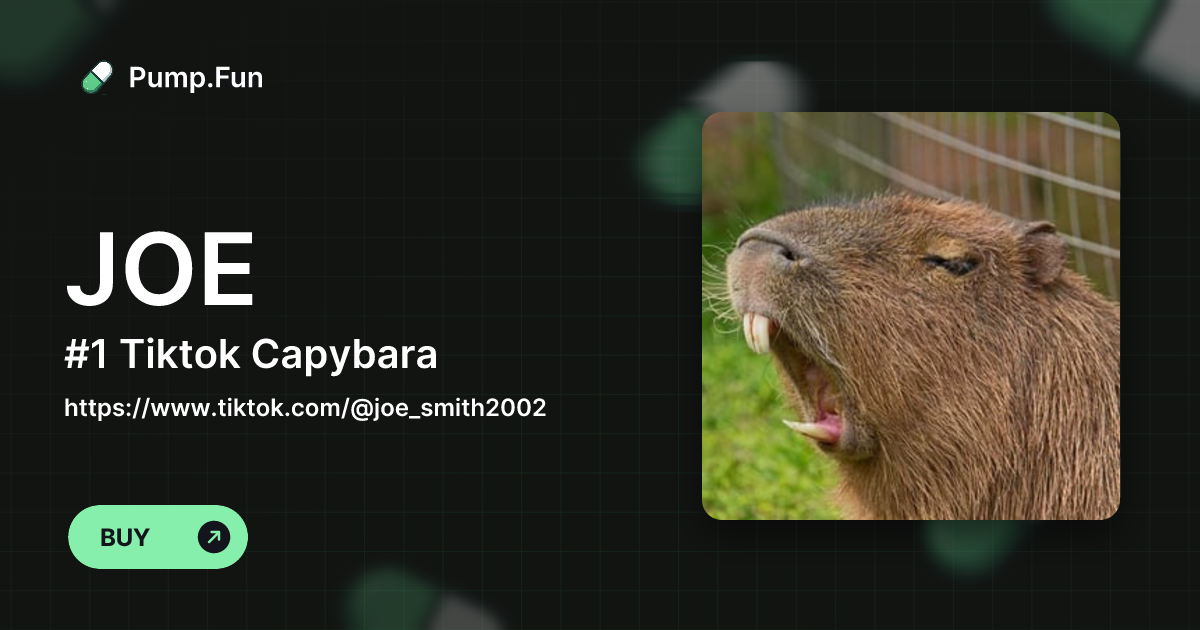 #1 Tiktok Capybara (JOE) - Pump