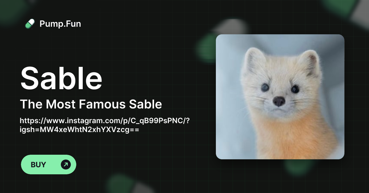 The Most Famous Sable (Sable) - Pump