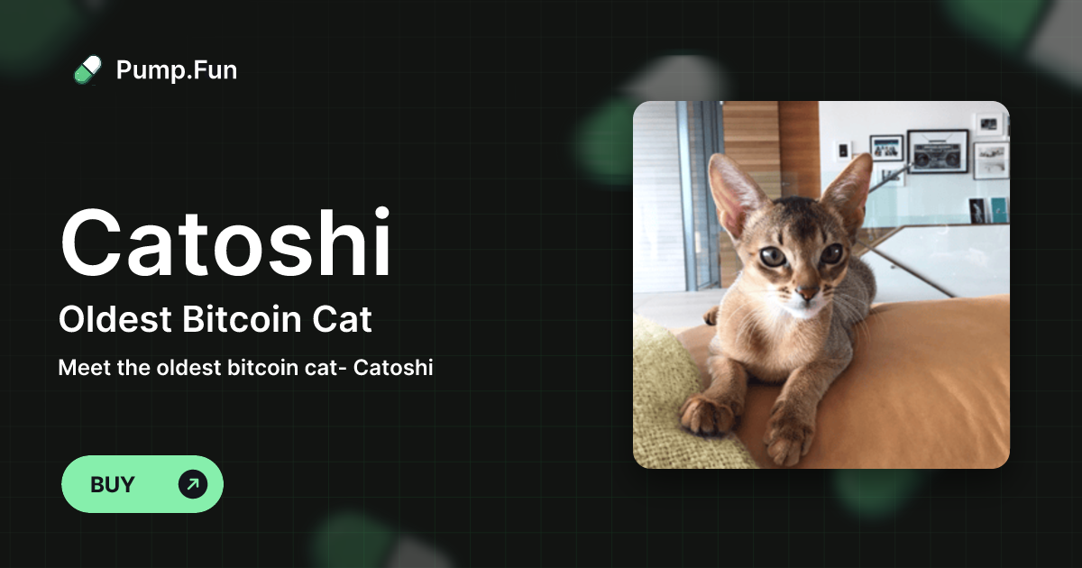 Oldest Bitcoin Cat (Catoshi) - Pump