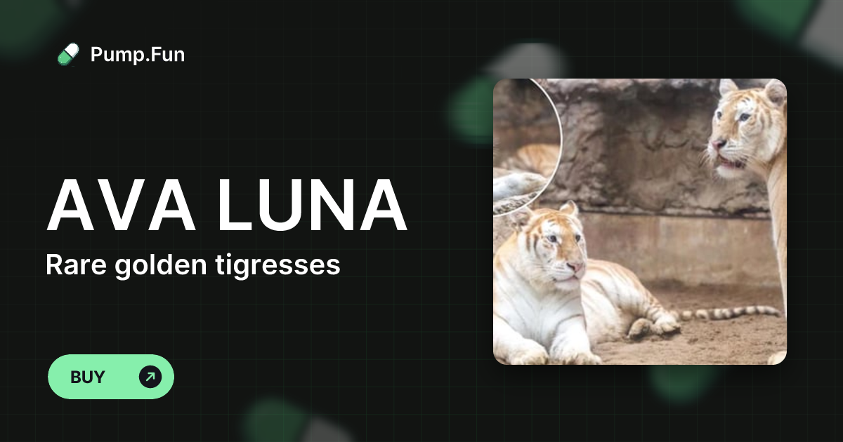 Rare golden tigresses (AVA LUNA) - Pump
