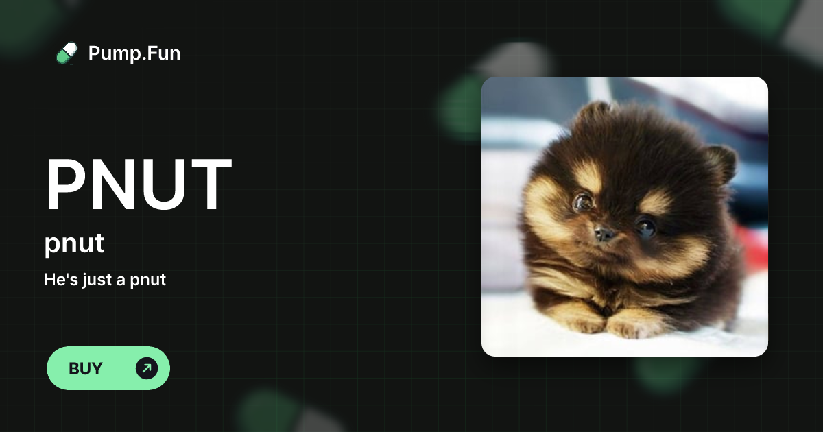 pnut (PNUT) - Pump