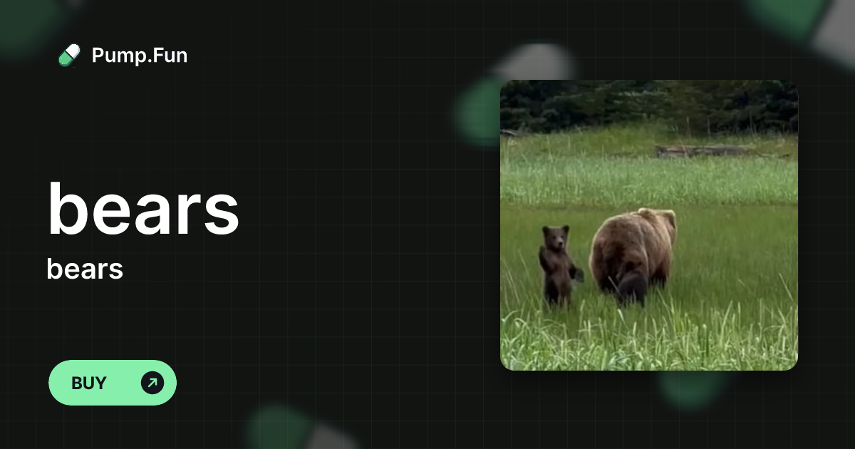 bears (bears) - Pump