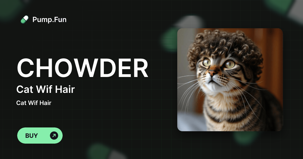Cat Wif Hair (CHOWDER) - Pump