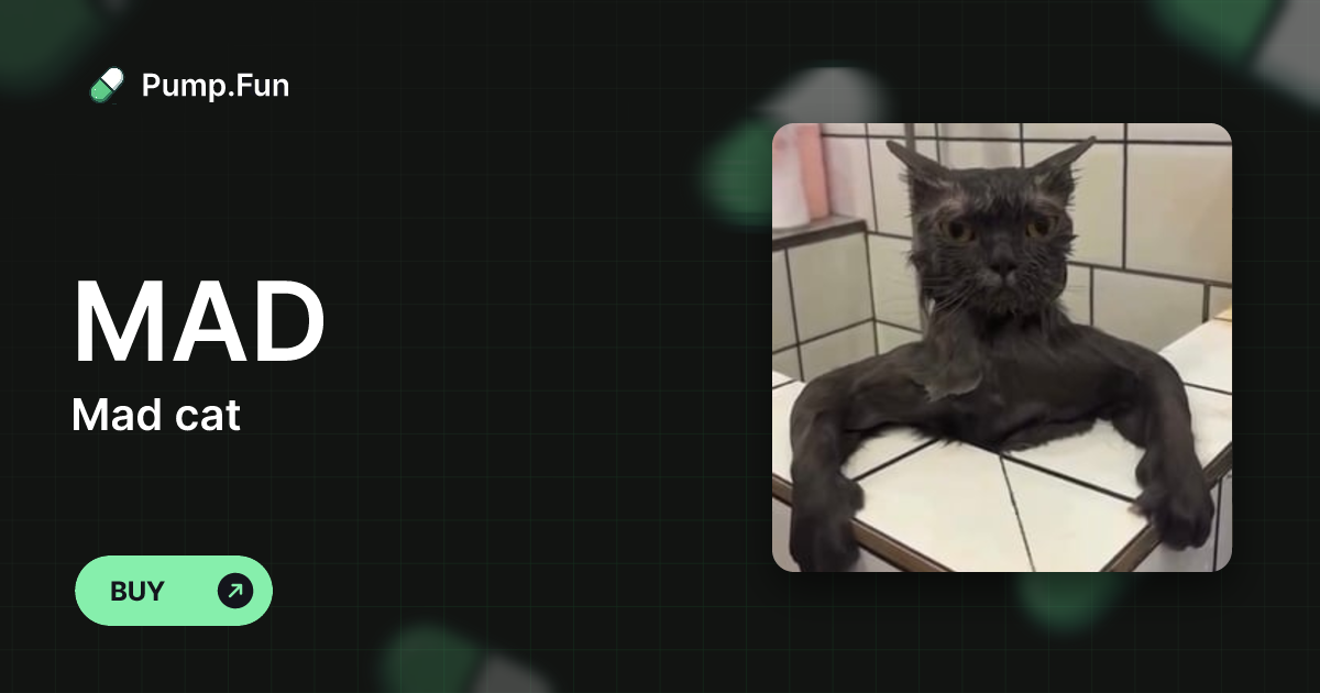 Mad cat (MAD) - Pump