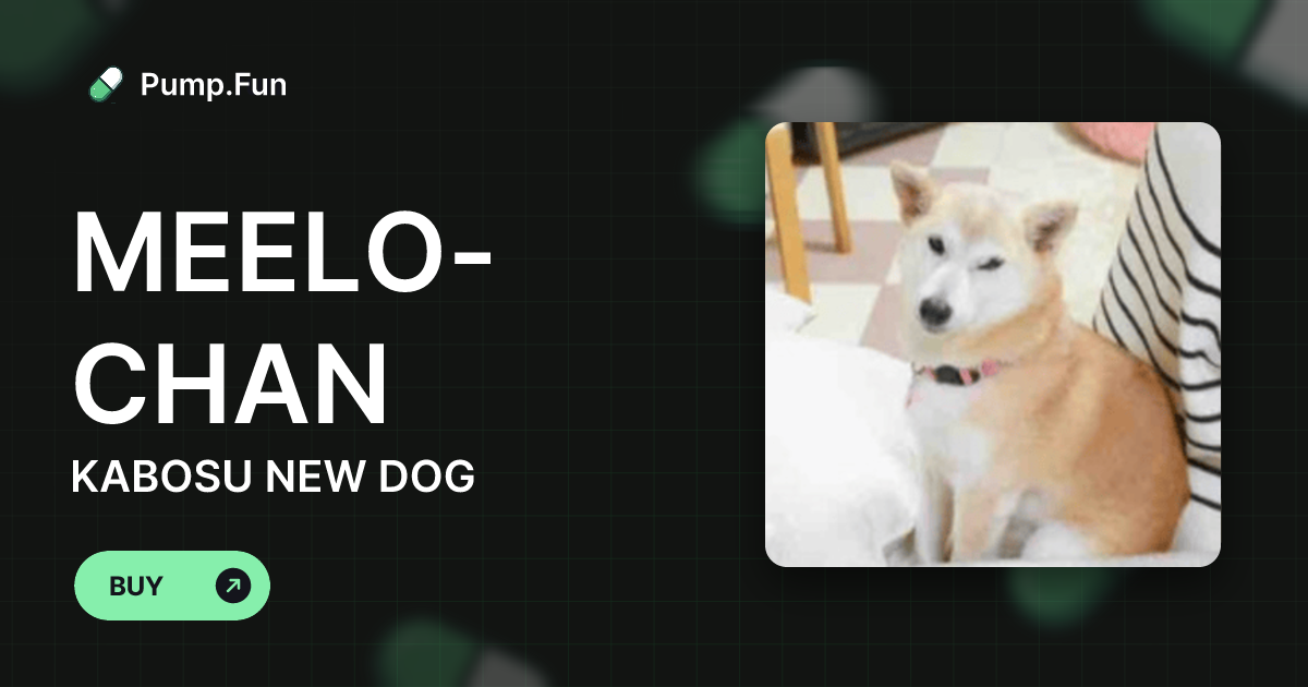 KABOSU NEW DOG (MEELO-CHAN) - Pump