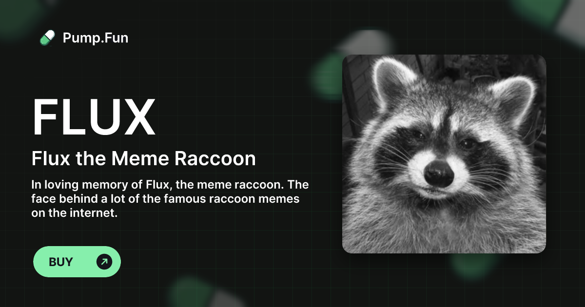 Flux the Meme Raccoon (FLUX) - Pump
