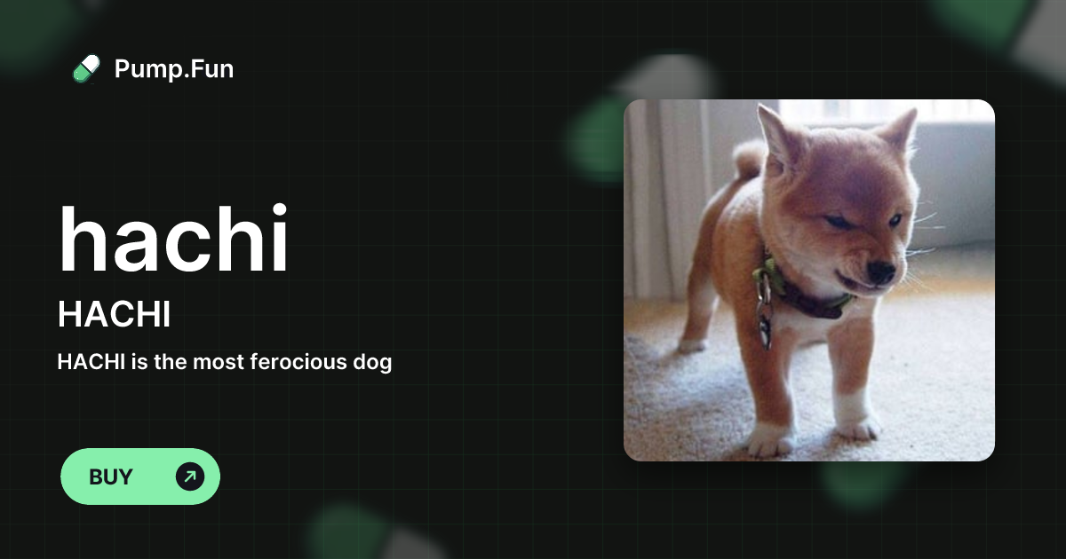 HACHI (hachi) - Pump