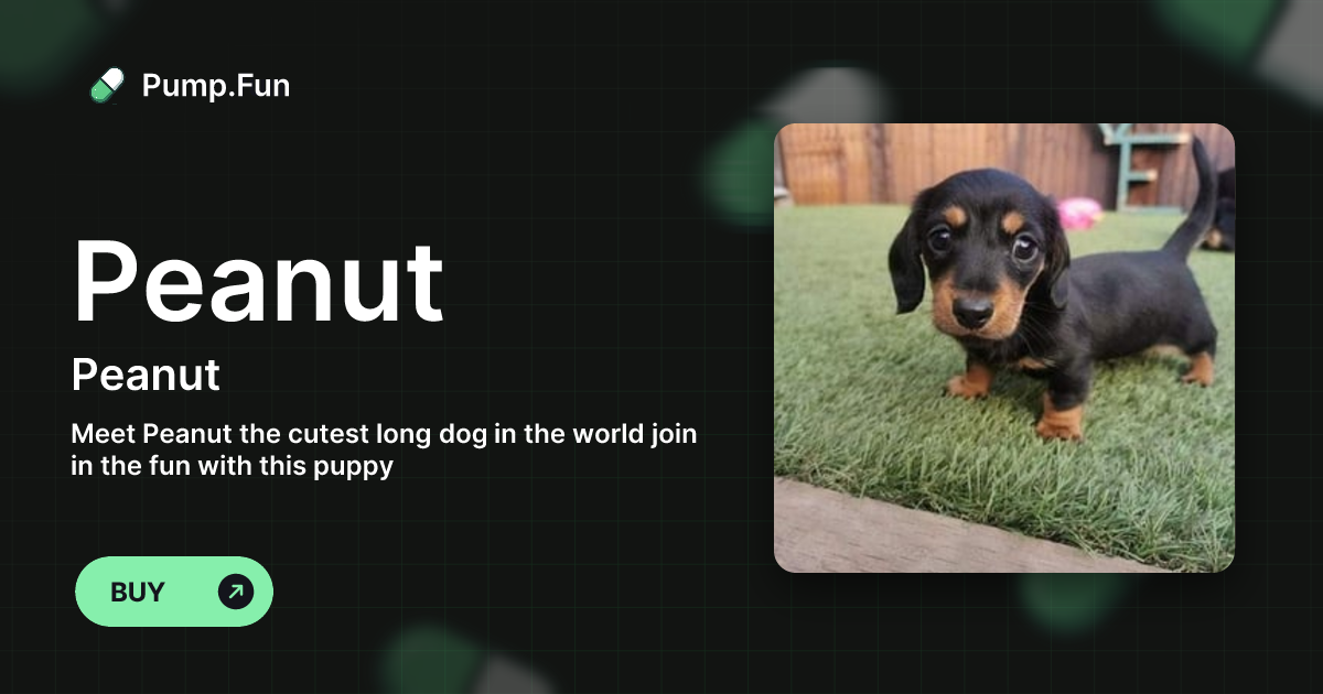 Peanut (Peanut) - Pump