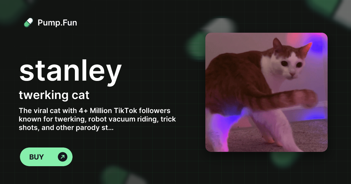twerking cat (stanley) - Pump