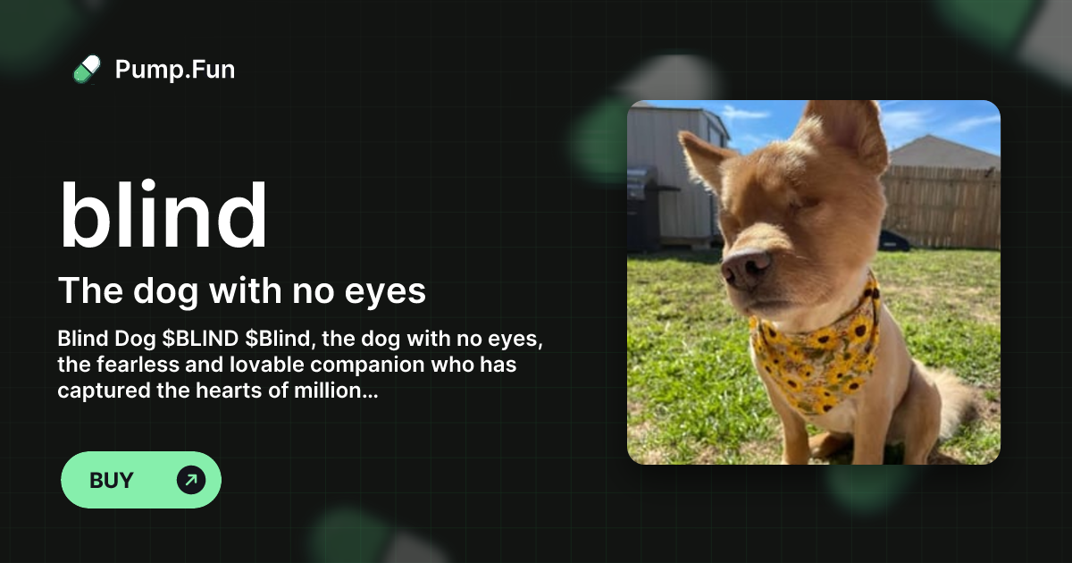 The dog with no eyes (blind) - Pump