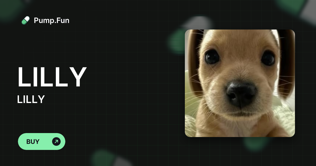 LILLY (LILLY) - Pump