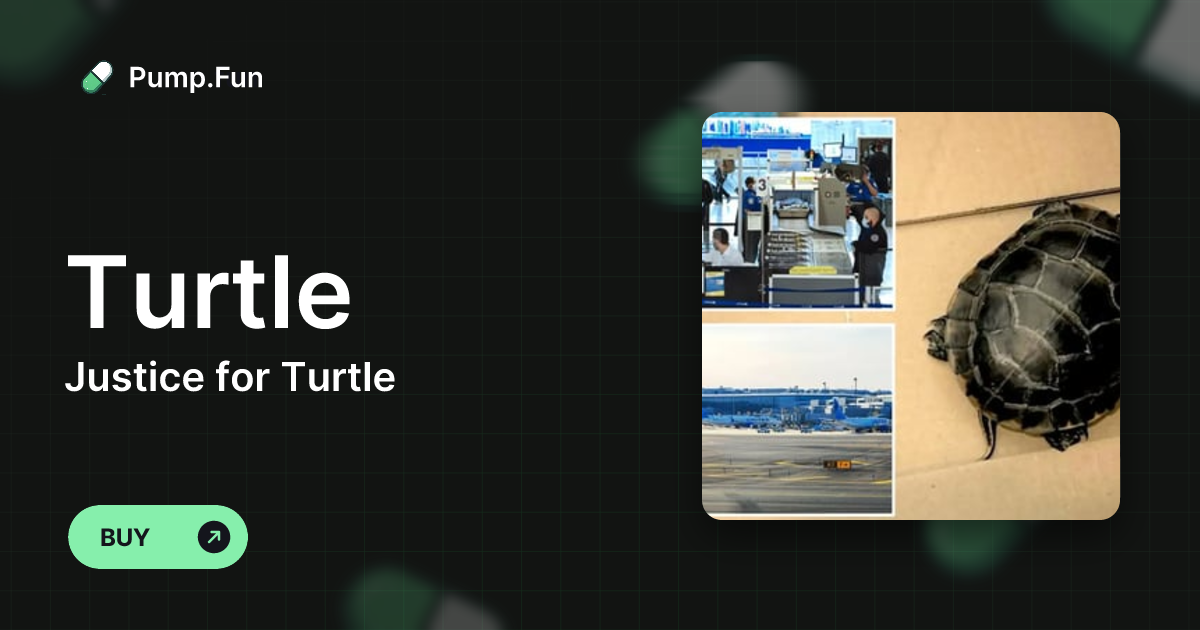 Justice for Turtle (Turtle) - Pump