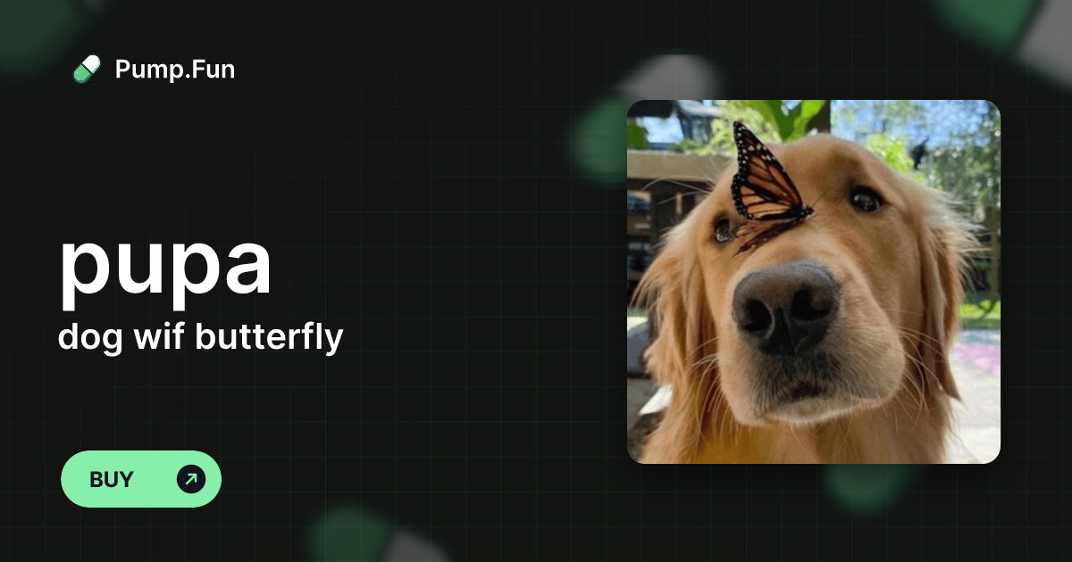 dog wif butterfly (pupa) - Pump