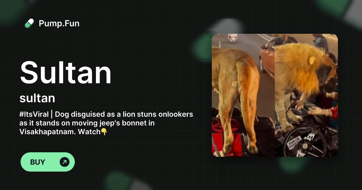 sultan (Sultan) - Pump