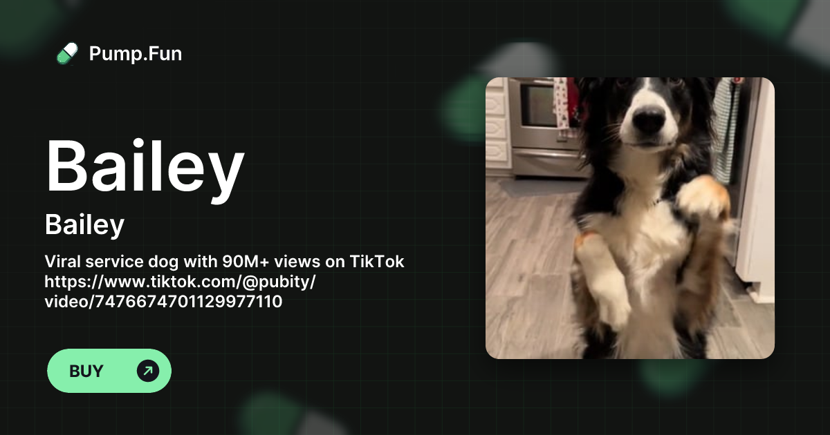 Bailey (Bailey) - Pump