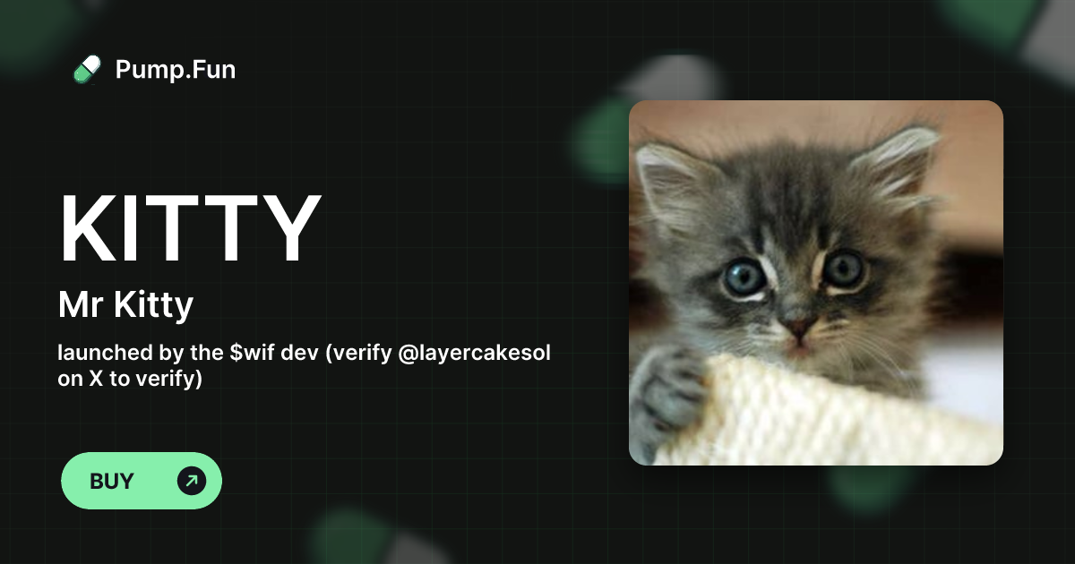 Mr Kitty (KITTY) - Pump