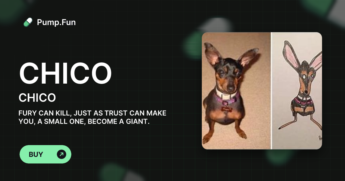 CHICO (CHICO) - Pump