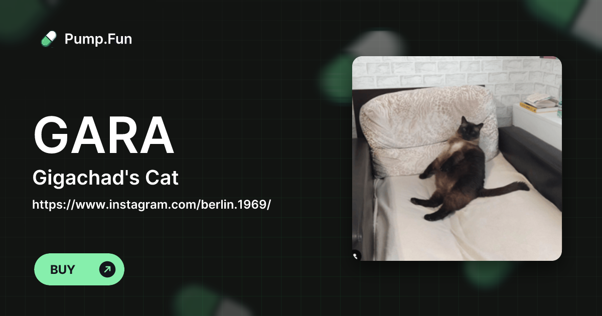Gigachad's Cat (GARA) - Pump
