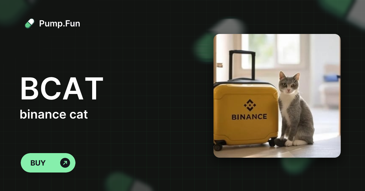 binance cat (BCAT) - Pump