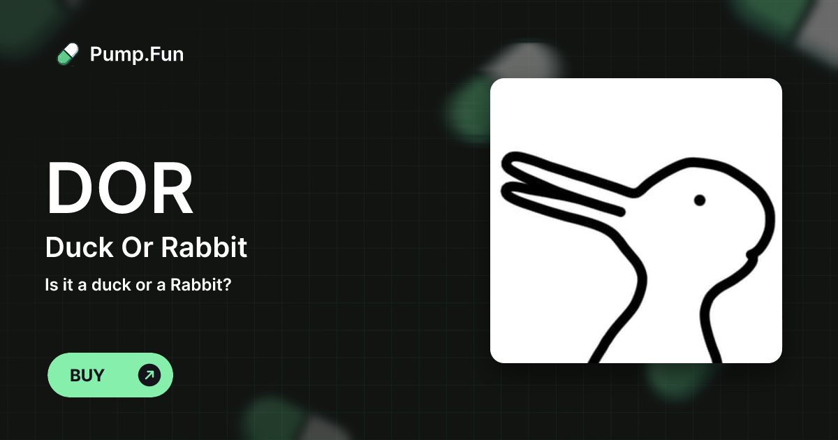 Duck Or Rabbit (DOR) - Pump