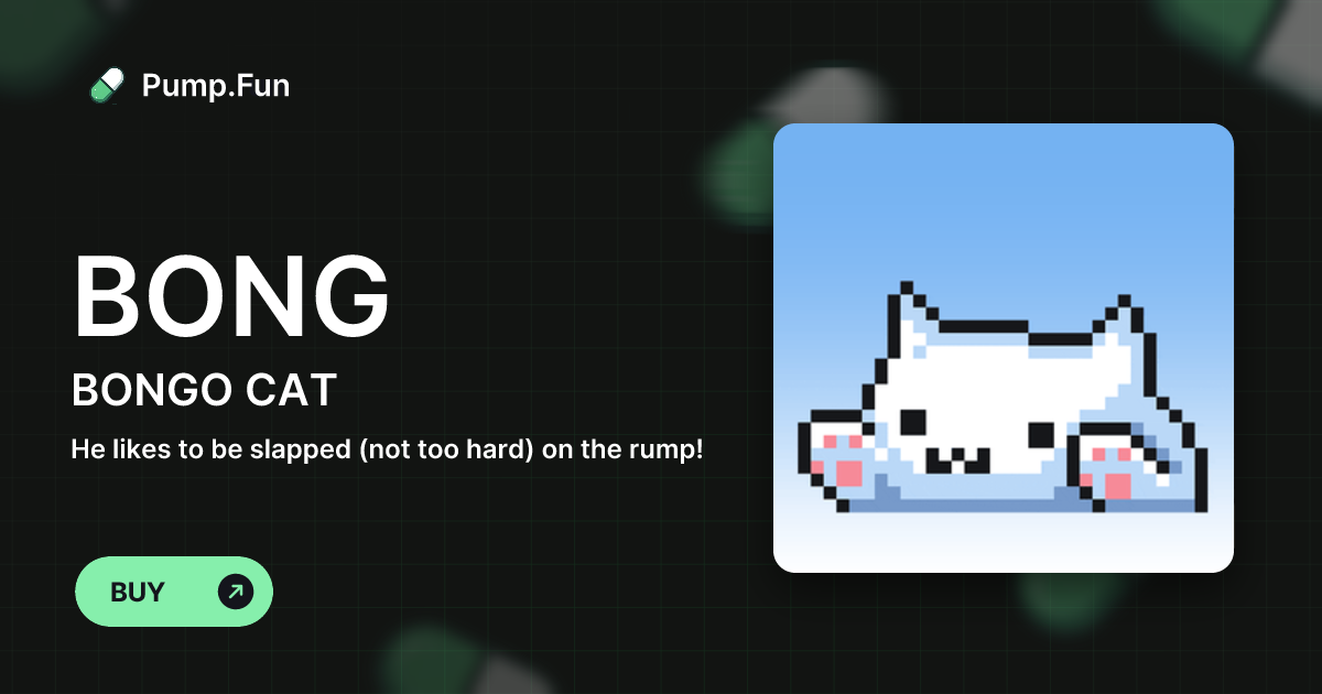 BONGO CAT (BONG) - Pump