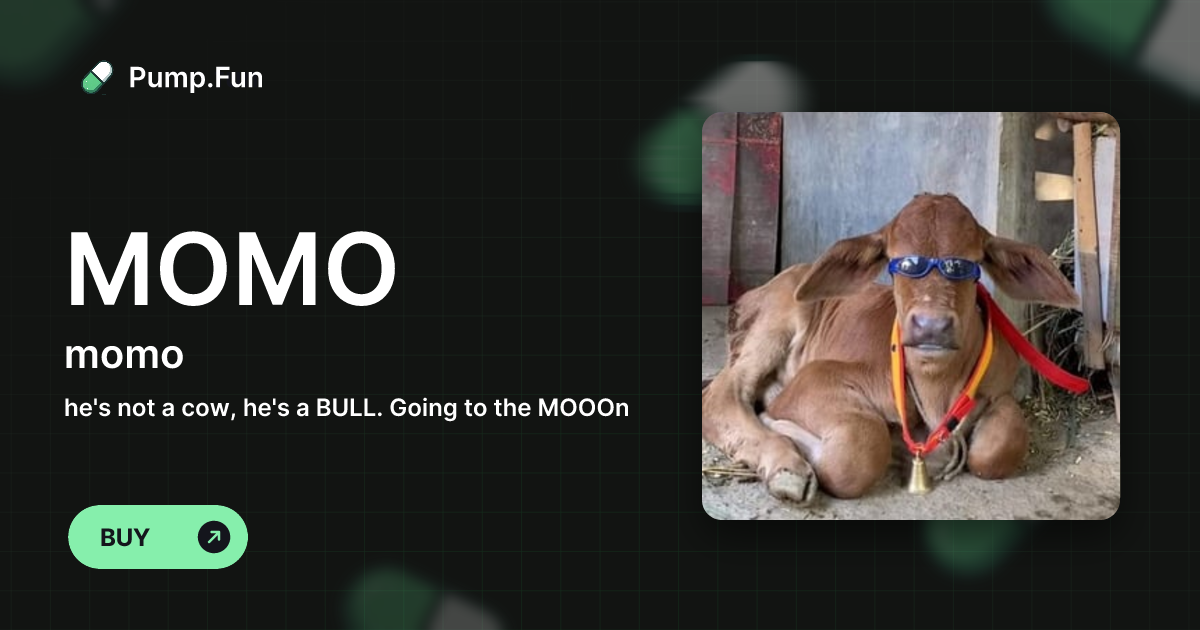 momo (MOMO) - Pump