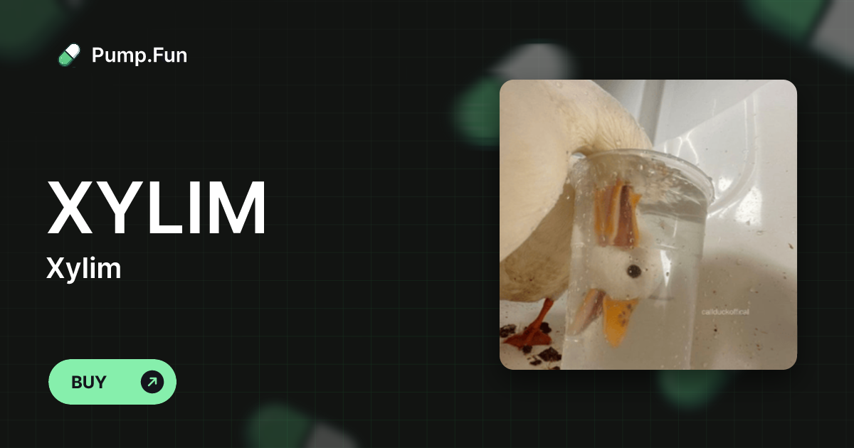 Xylim (XYLIM) - Pump