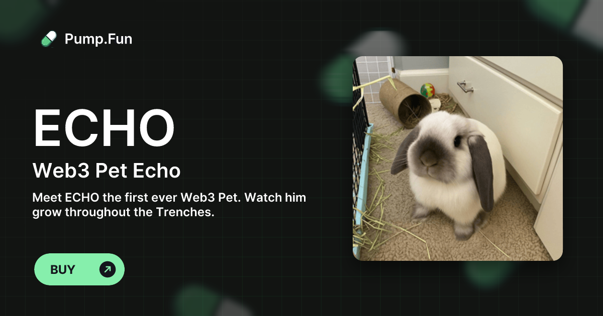 Web3 Pet Echo (ECHO) - Pump