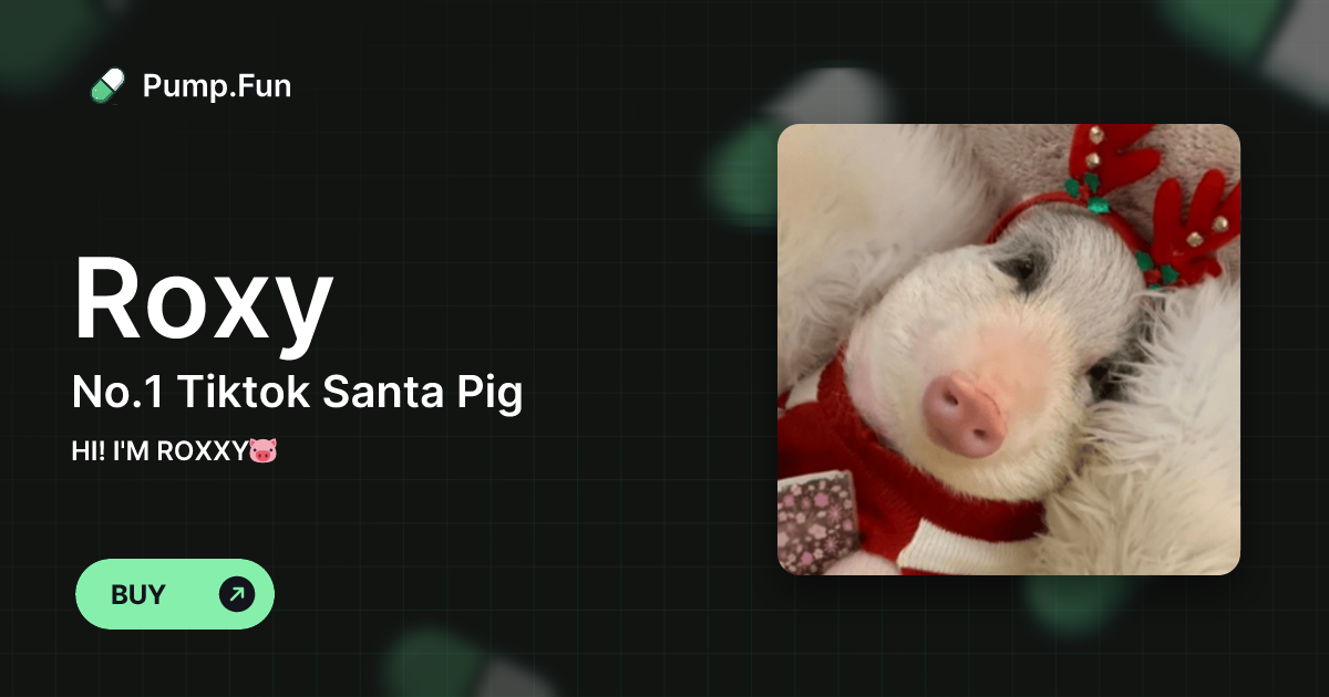 No.1 Tiktok Santa Pig (Roxy) - Pump
