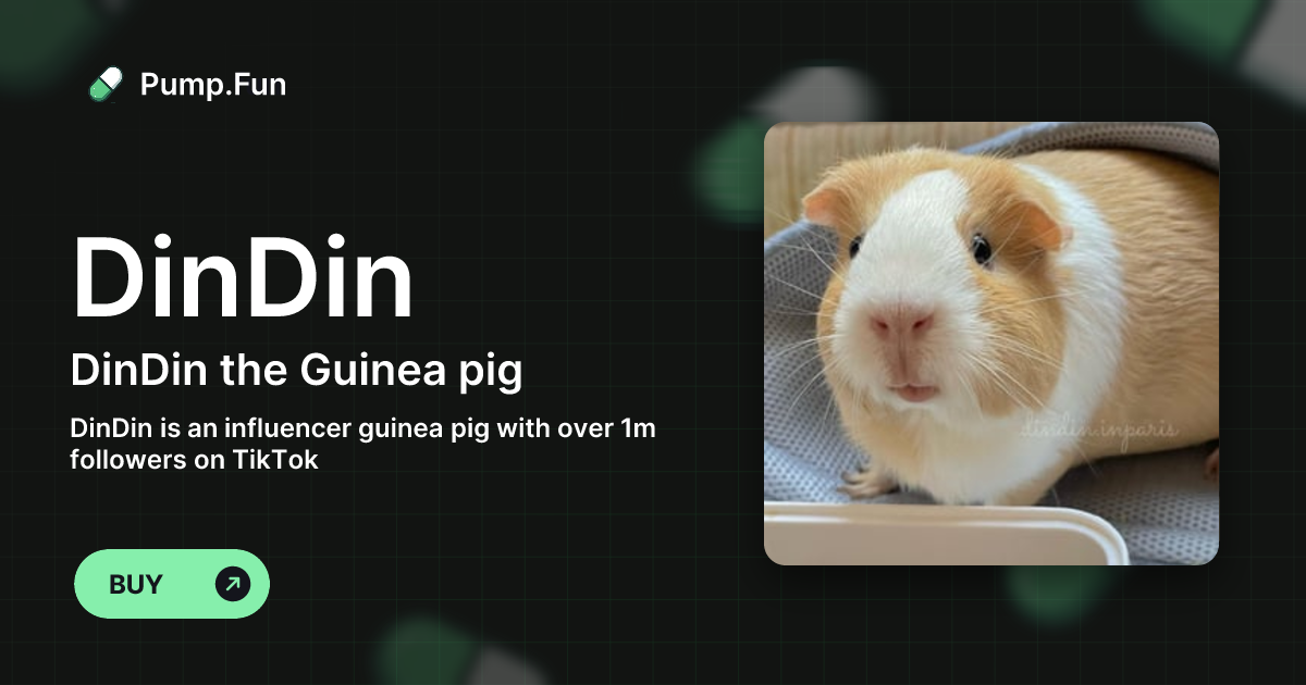 DinDin the Guinea pig (DinDin) - Pump