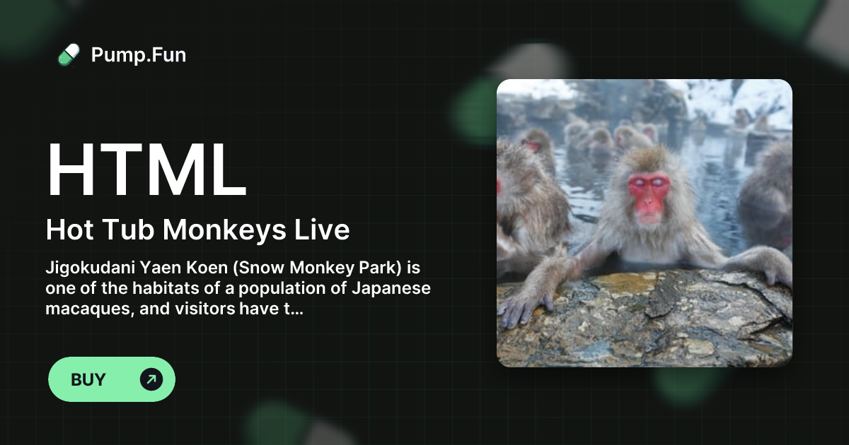 Hot Tub Monkeys Live (HTML) - Pump
