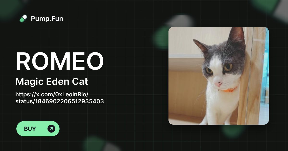 Magic Eden Cat (ROMEO) - Pump