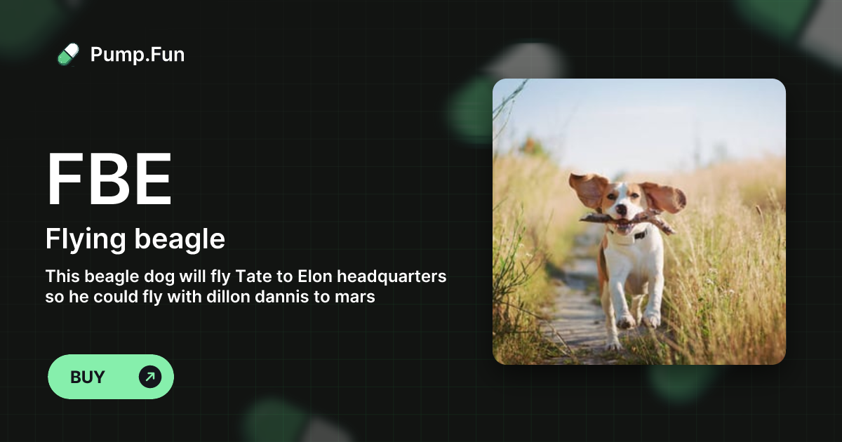 Flying beagle (FBE) - Pump