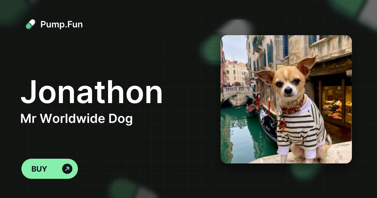 Mr Worldwide Dog (Jonathon) - Pump