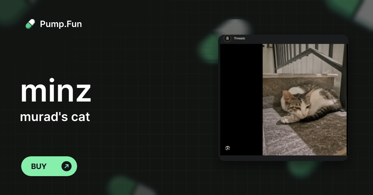 murad's cat (minz) - Pump