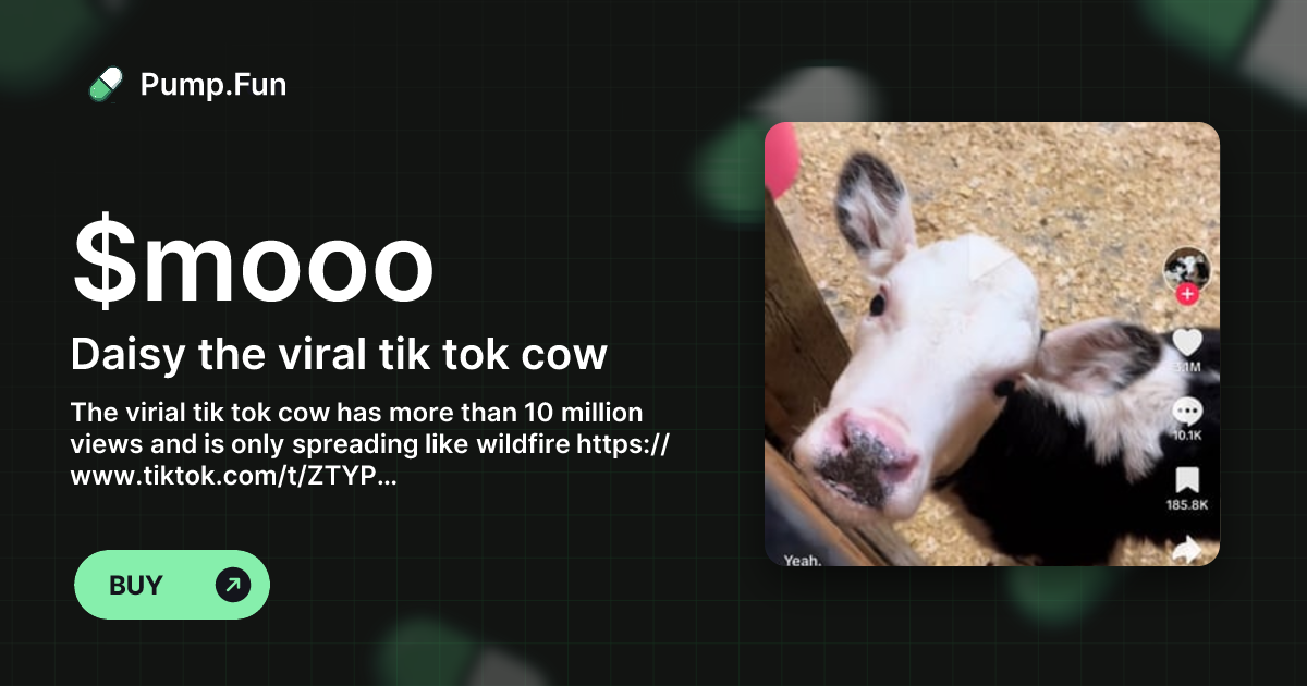 Daisy the viral tik tok cow ($mooo) - Pump