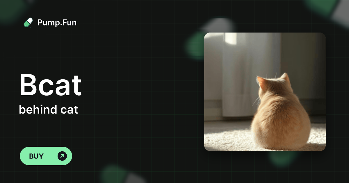 behind cat (Bcat) - Pump