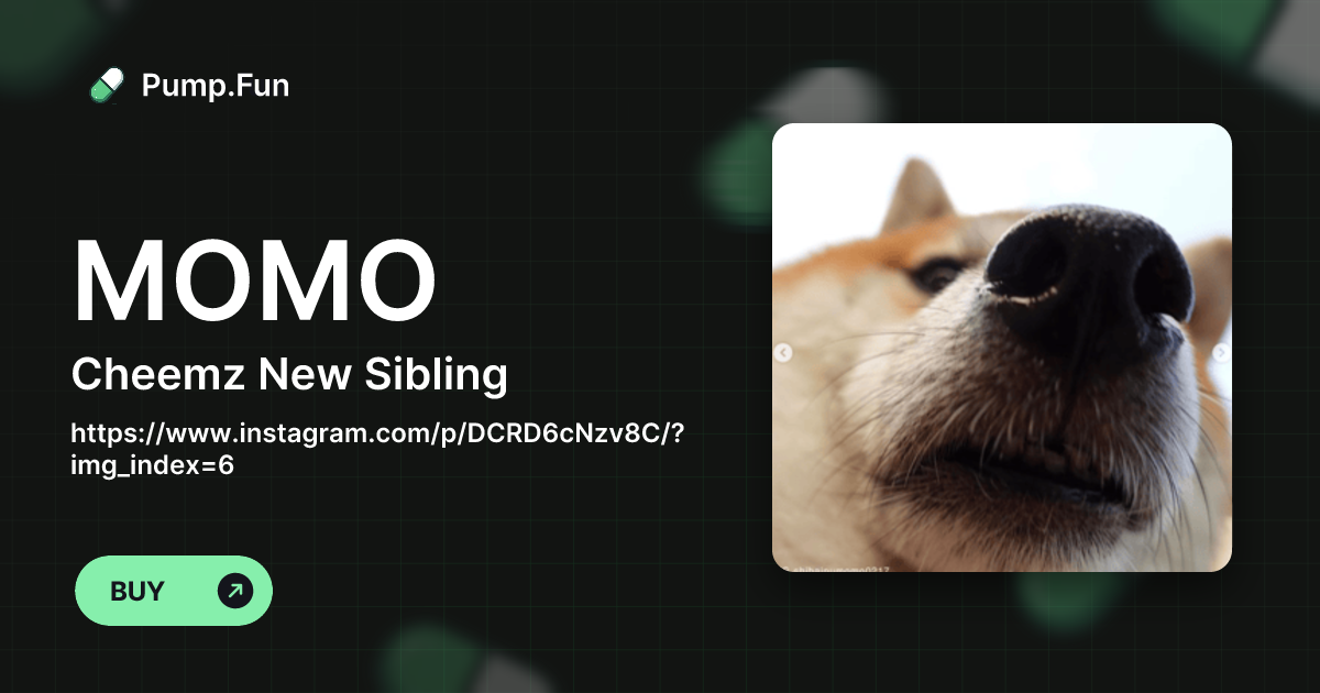 Cheemz New Sibling (MOMO) - Pump