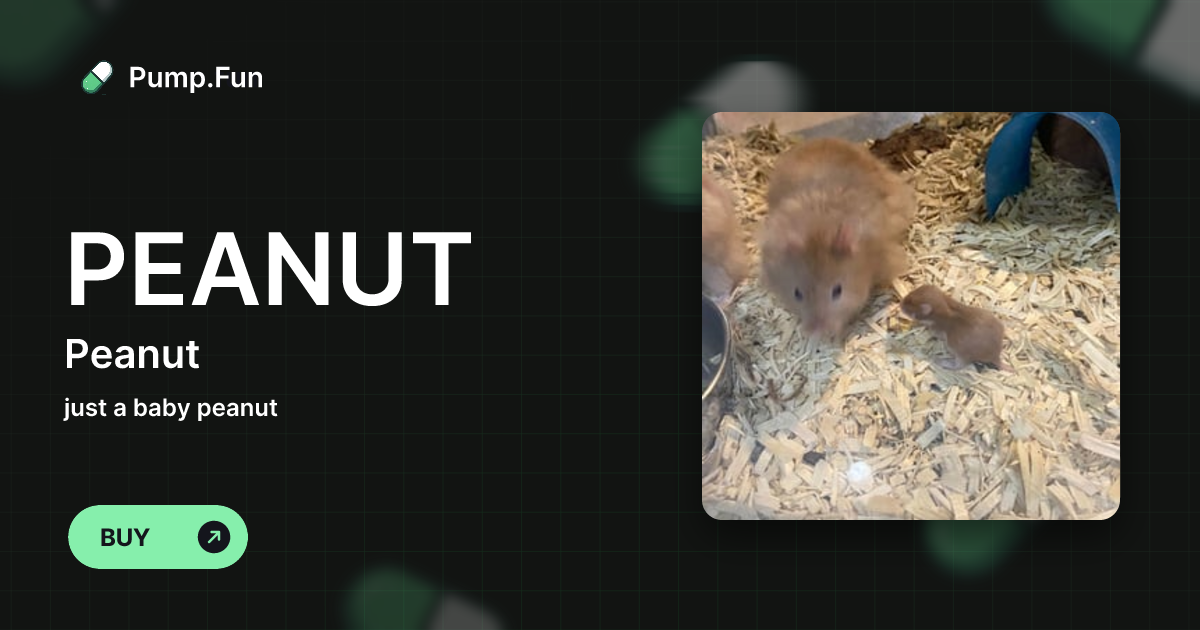 Peanut (PEANUT) - Pump
