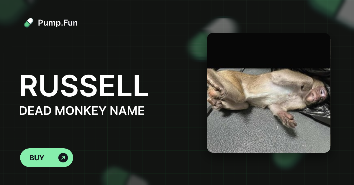 DEAD MONKEY NAME (RUSSELL) - Pump