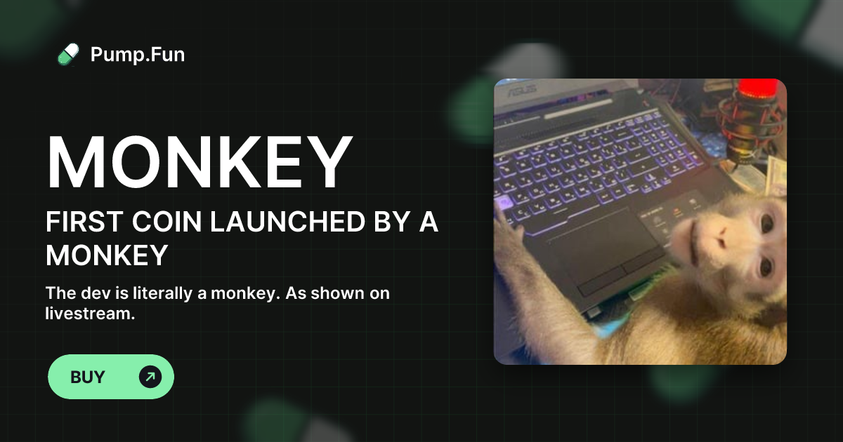 FIRST COIN LAUNCHED BY A MONKEY (MONKEY) - Pump