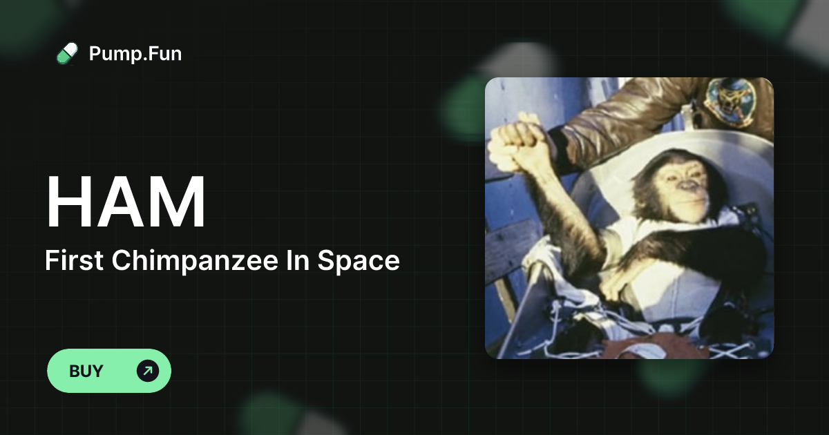 First Chimpanzee In Space (HAM) - Pump