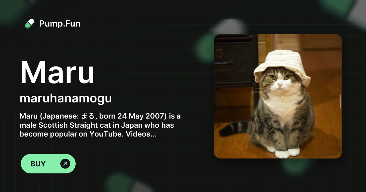 maruhanamogu (Maru) - Pump