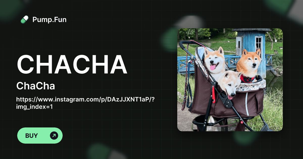 ChaCha (CHACHA) - Pump